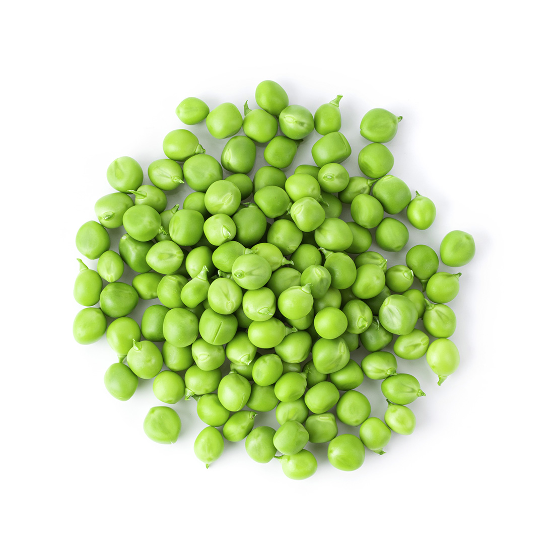 Tienda – BLAIR FOODS