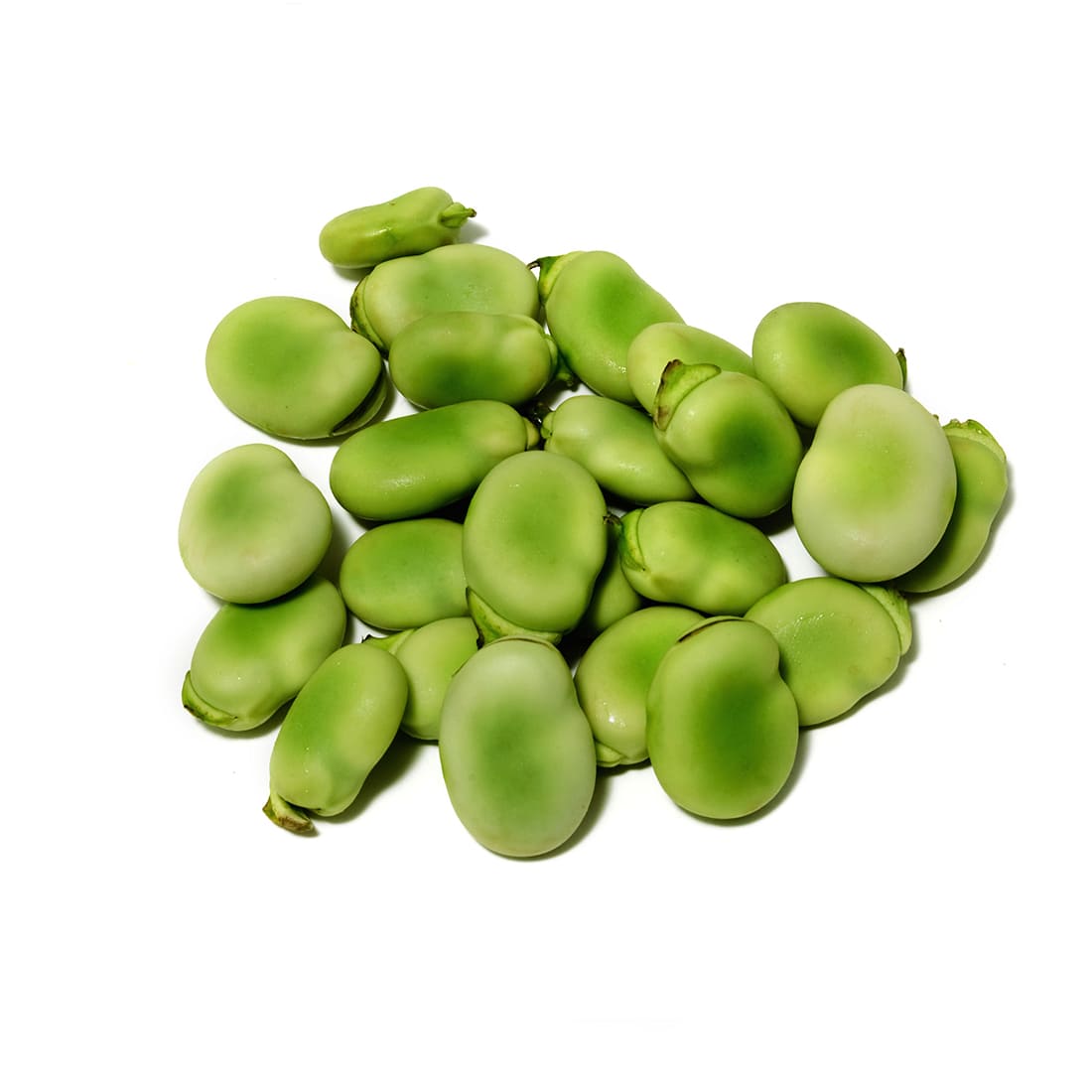 Haba – BLAIR FOODS